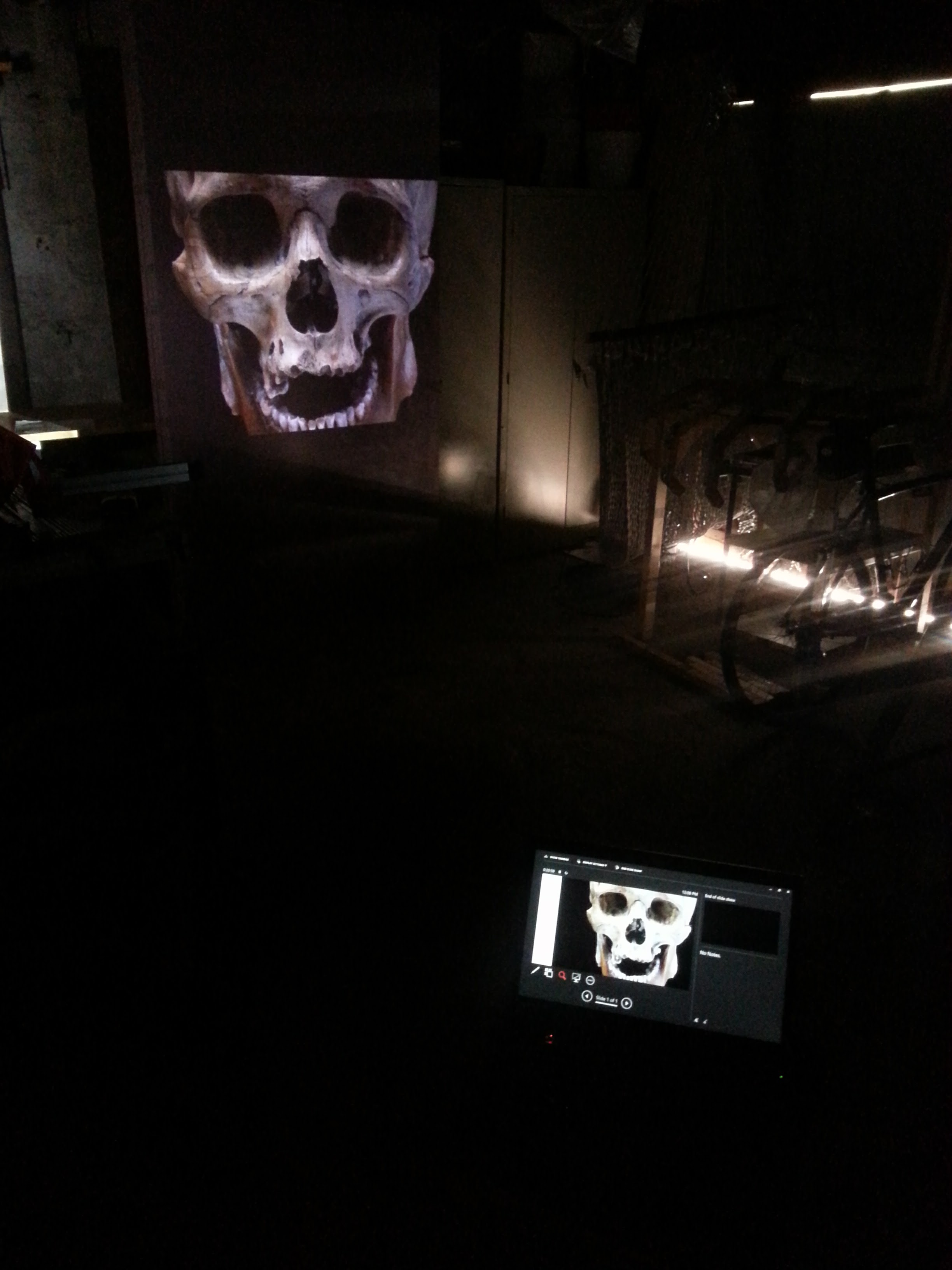 10 skull project – FUNTITLED WORKSHOP